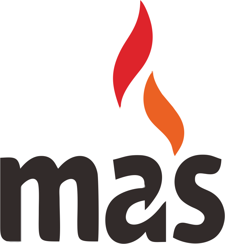 logo mas – GN Consulting